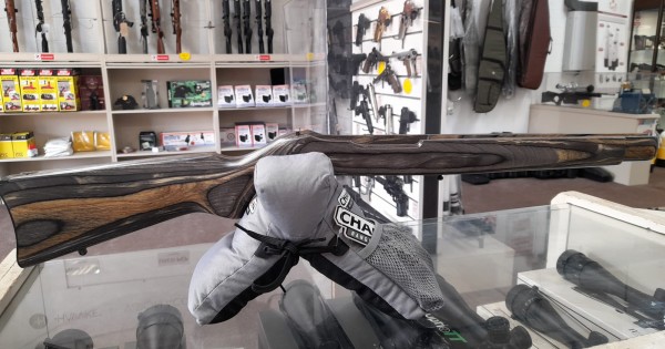 Ruger 10/22 Laminate Stock