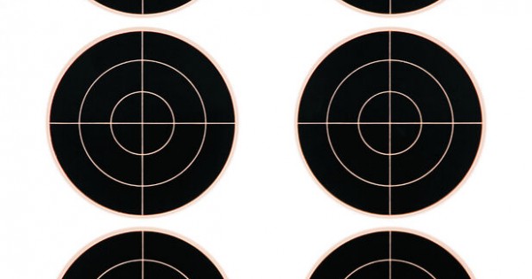 Champion 25 yard Small Bore Sighting-in Target